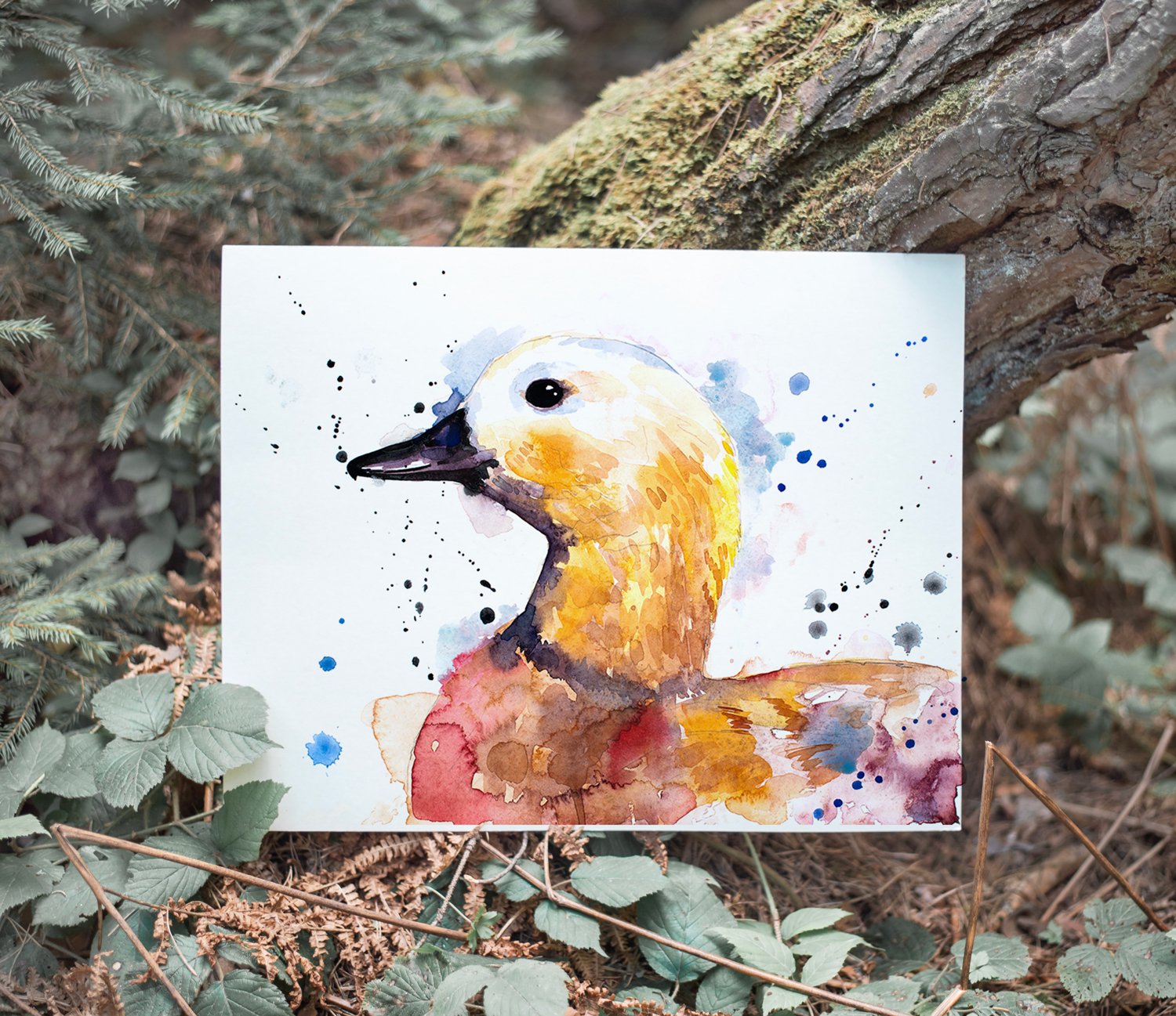 Ruddy shelduck Duck watercolor painting print